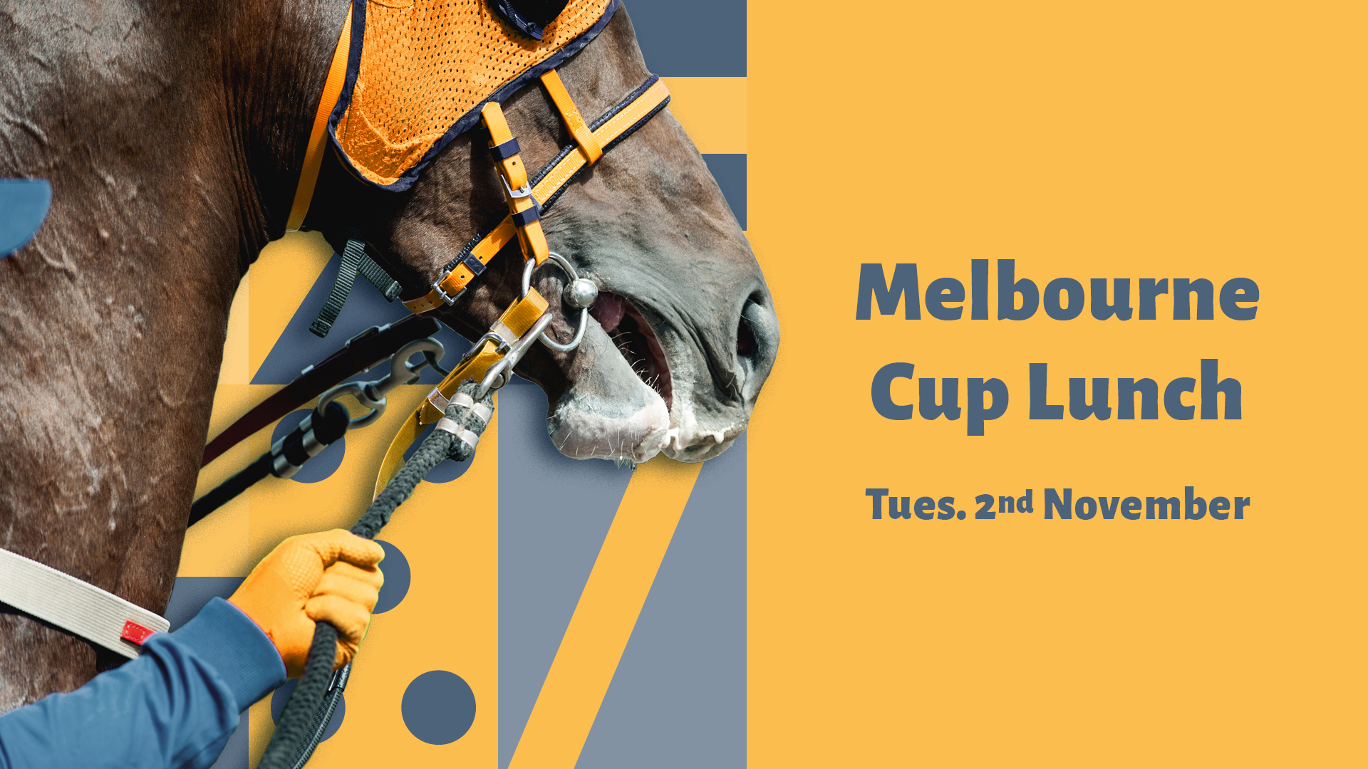 Your Local Adelaide Hills Pub | The Duck, Coromandel Valley